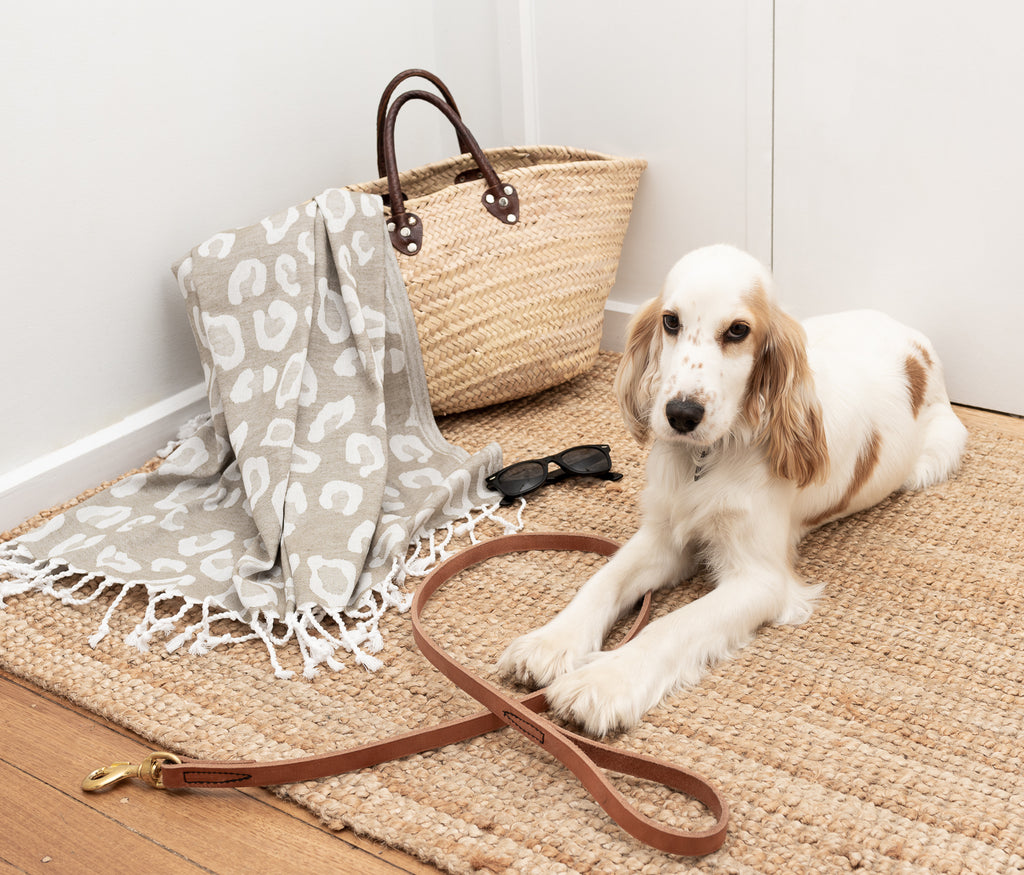 Knotty Goes Wild has landed.... – Knotty Australia